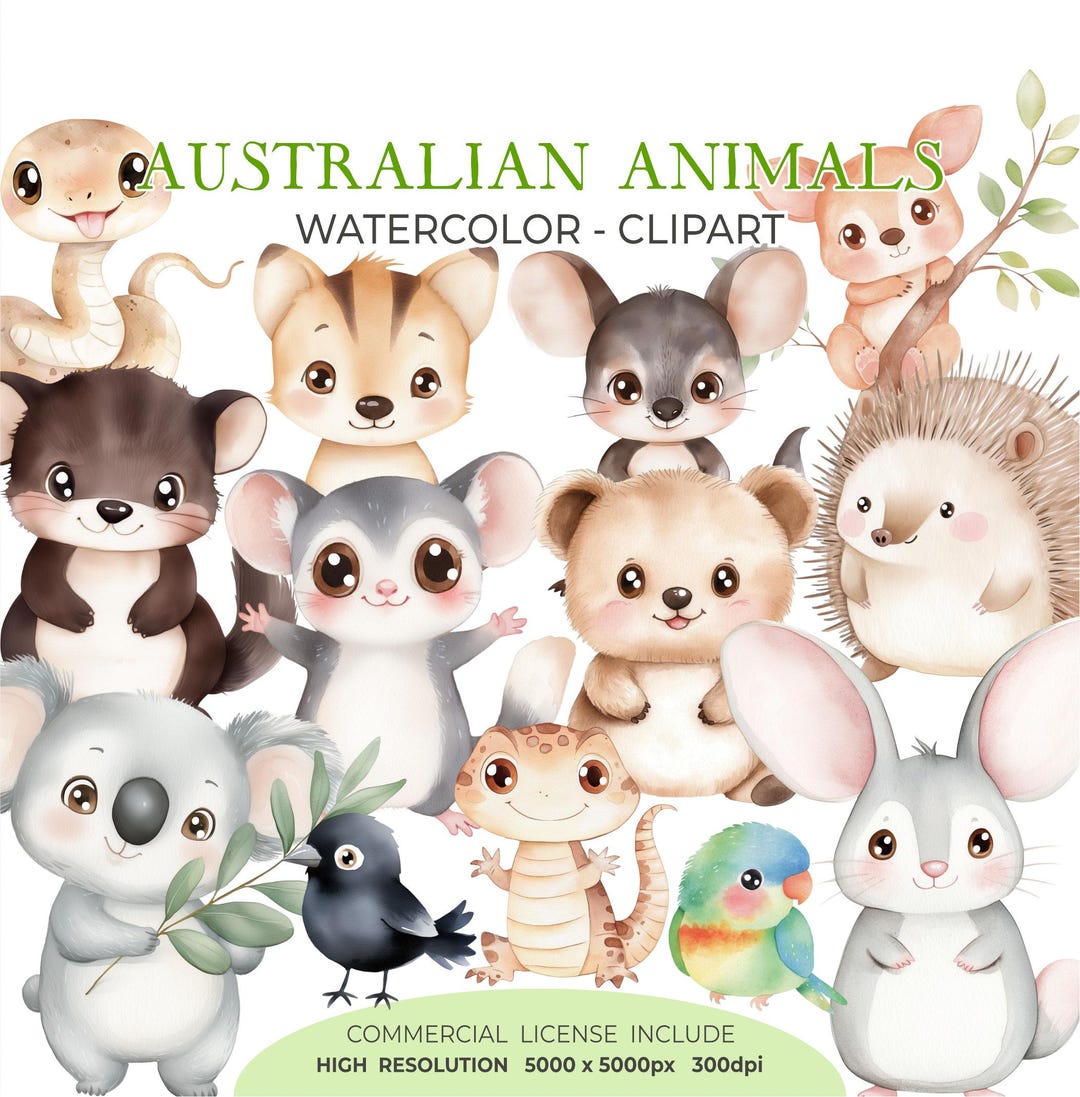 25 Cute Australian Animals Clipart - Watercolor Clipart - Koala Clipart ...