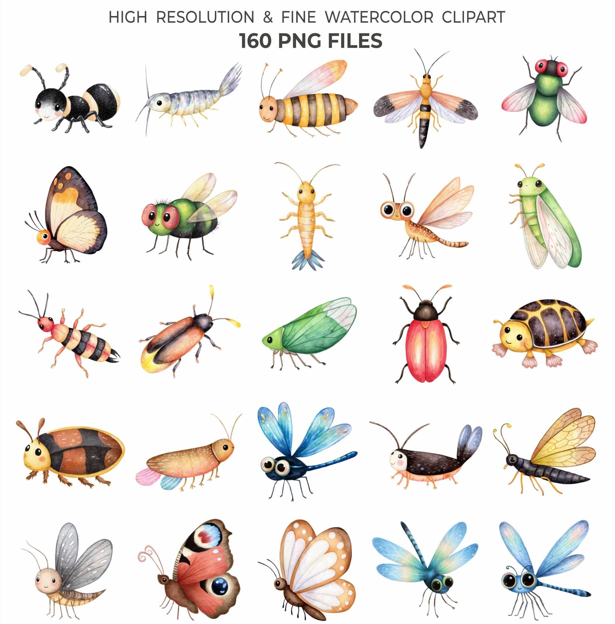Cute Little Love Bugs Clipart, Insects Clipart, Spring Clip Art Bundle ...