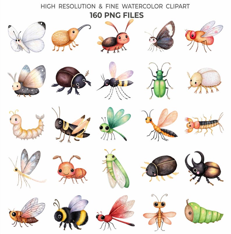 Cute Little Love Bugs Clipart, Insects Clipart, Spring Clip Art Bundle ...