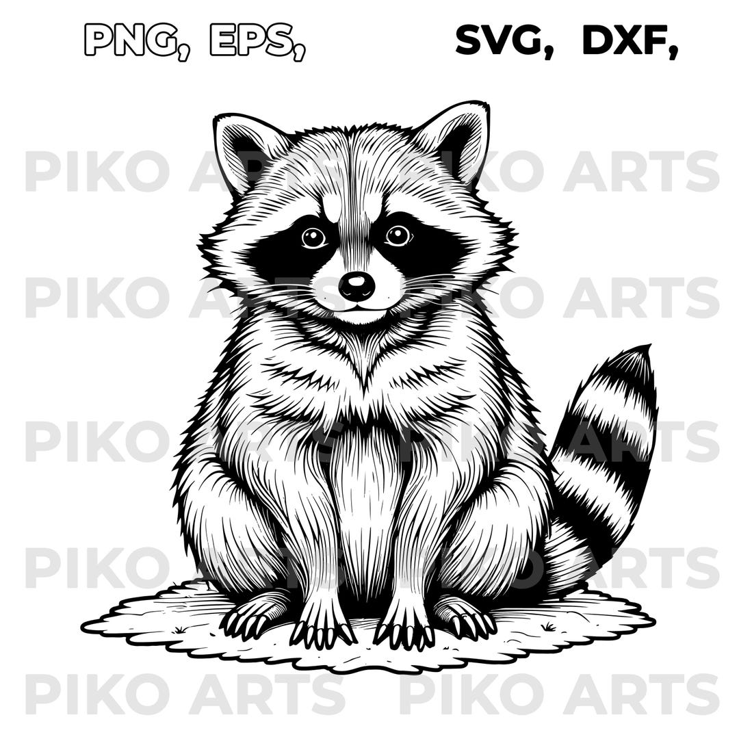 Raccoon SVG, PNG, Animal Clipart , Recoon Cutfile, Cute Raccoon Art - Etsy