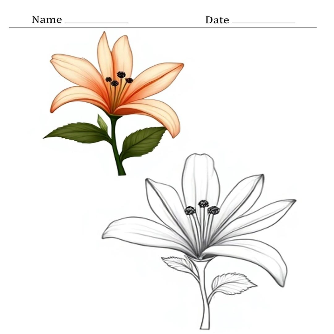 Kids Flower Coloring Pages|easy Flower Line Art|digital Download ...
