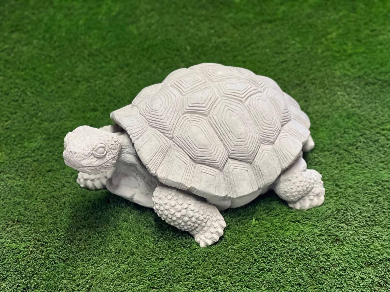 Large Turtle, Box Turtle, Outdoor Statue, Stone Figure, Cement Animal ...