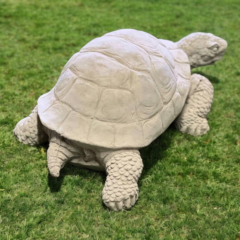 Stone Turtle, Garden Figure, Cement Art, Detailed Turtle, Wild Animal ...