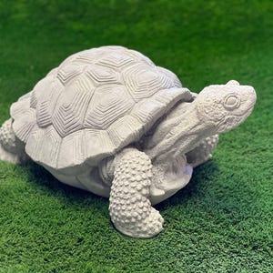 Large Turtle, Box Turtle, Outdoor Statue, Stone Figure, Cement Animal ...