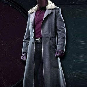 The Falcon and the Winter Soldier Zemo Coat - Etsy