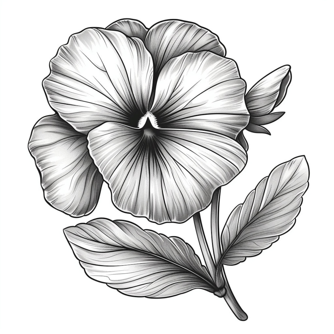 Pansy Black/white Line Art Bundle 1 55 Digital Line Art Ai Svg Png Jpg ...