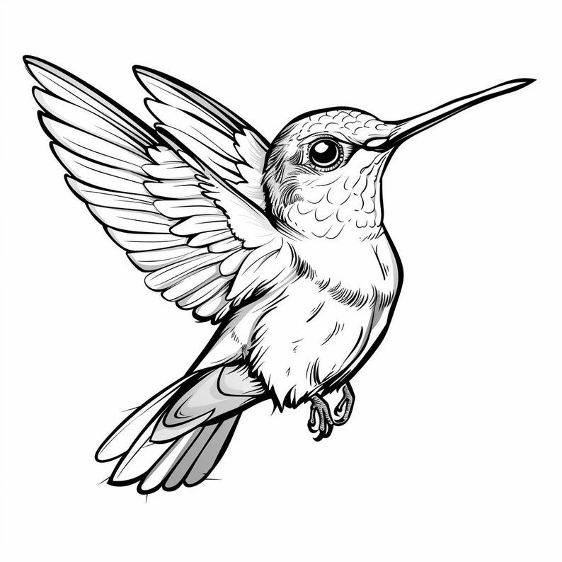 Hummingbird Line Art Illustrations Black and White Bundle 1 80 Digital ...