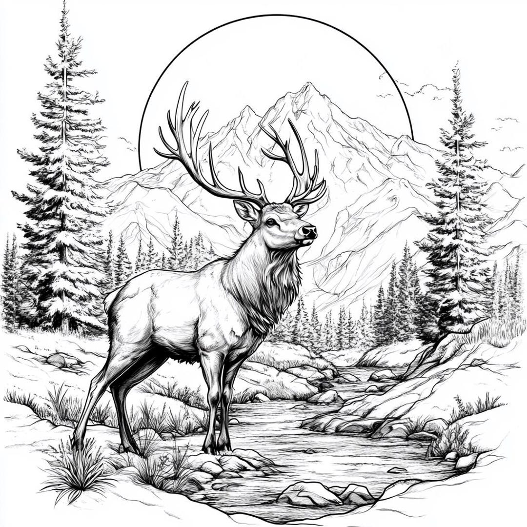 Elk Forrest Black and White Line Art Bundle 1 20 Digital Ai Line Art ...
