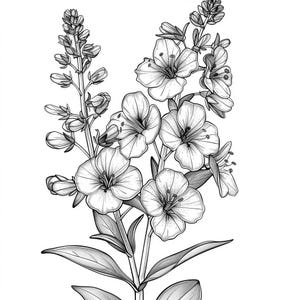 Fireweed Line Art Black and White Bundle 2 24 Digital Line Art Images ...