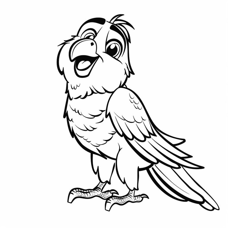 Parrot Cartoon Illustration Black and White Bundle 1 72 Digital Line ...