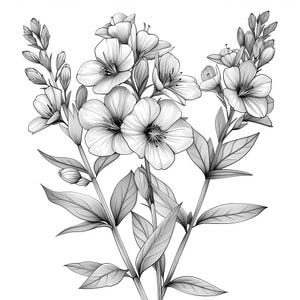 Fireweed Line Art Black and White Bundle 2 24 Digital Line Art Images ...