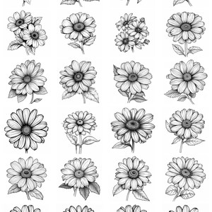 Daisy Blooms Black/white Line Art Bundle 1 72 Digital Line Art Ai Svg ...