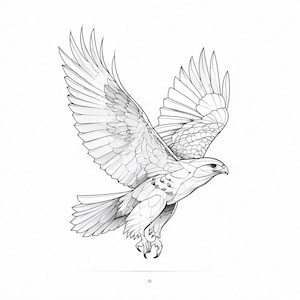 Hawk Line Art Illustration Black and White Bundle 1 24 Digital Ai Line ...