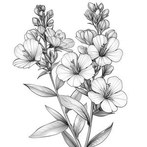 Fireweed Line Art Black and White Bundle 2 24 Digital Line Art Images ...