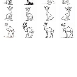 Camel Cartoon Line Art Black and White Bundle 1 36 Digital Line Art Ai ...