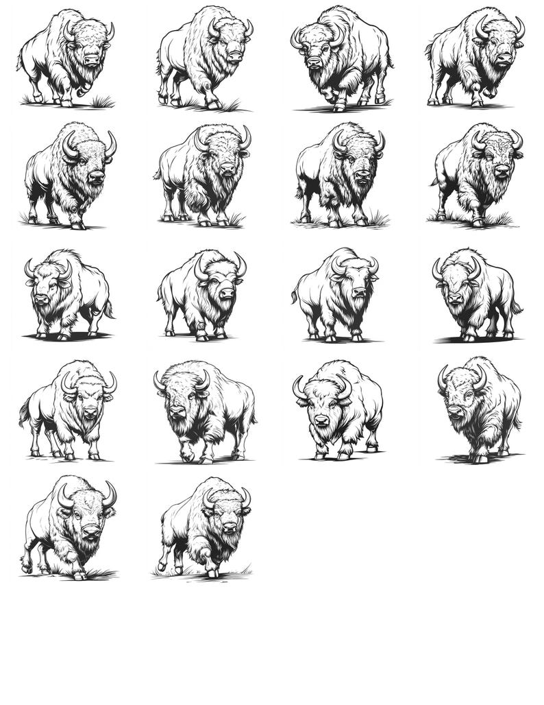 Buffalo/bison Black and White Line Art Bundle 2 65 Digital Ai Line Art ...