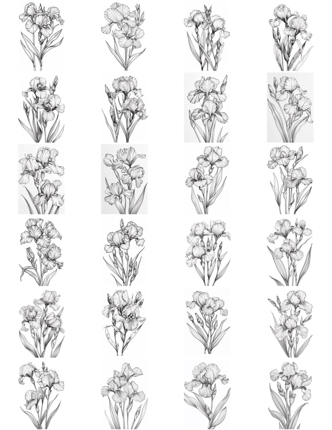 Iris Bunch Line Art Black and White Bundle 2 30 Digital Line Art Svg ...