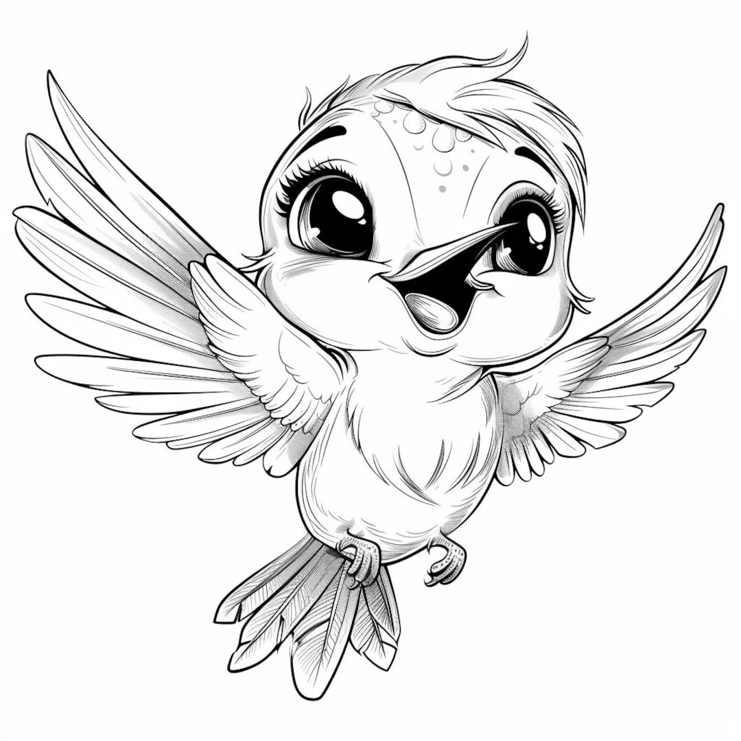 Hummingbird Cartoon Illustration Black and White Bundle 1 72 Digital ...