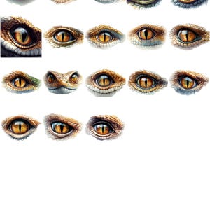 Snake/reptile Eye Color Cartoon Transparent Background Bundle 1 48 ...
