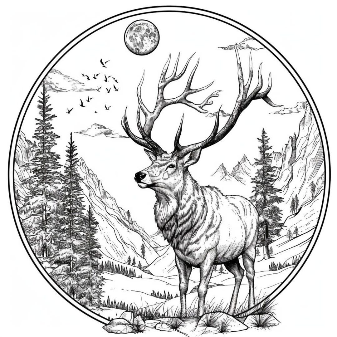 Elk Oval Mountain Forrest Black and White Line Art Bundle 3 40 Images ...