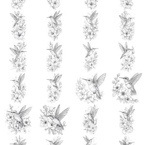 Hummingbird and Flowers Line Art Illustrations Black and White Bundle 2 ...