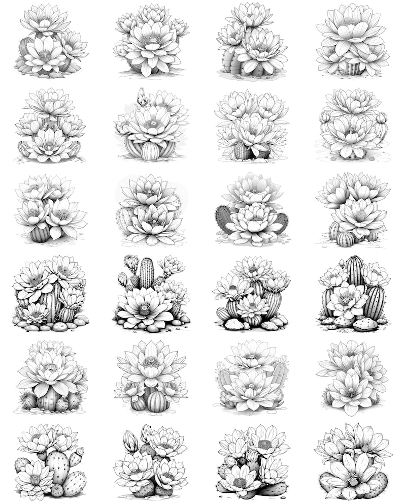 Cactus Blooms Line Art Black and White Bundle 1 24 Digital Line Art Ai ...