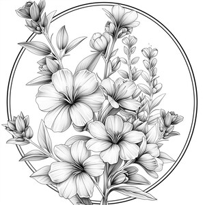 Fireweed Line Art Black and White Bundle 1 24 Digital Line Art Images ...