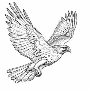 Hawk Realistic Line Art Illustration Black and White Bundle 2 50 ...