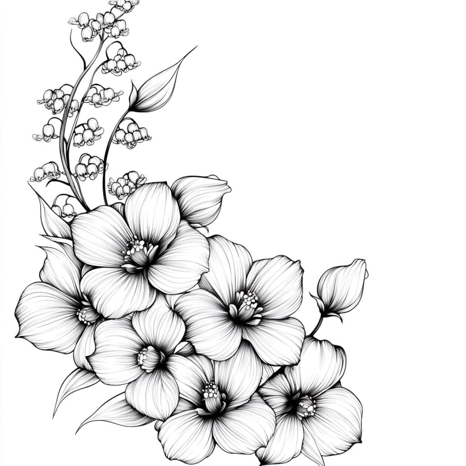 Violet and Lily of the Valley Line Art Black and White Bundle 1 24 ...