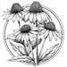 Cone Flower Line Art Black and White Bundle 1 48 Digital Line Art Ai ...