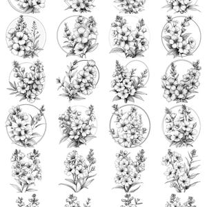 Fireweed Line Art Black and White Bundle 1 24 Digital Line Art Images ...