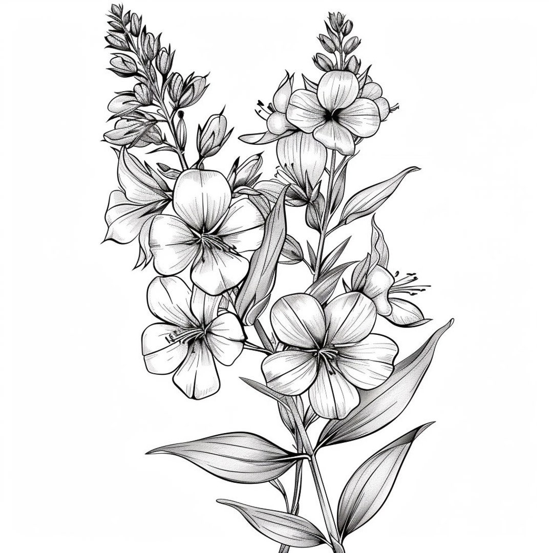 Fireweed Line Art Black and White Bundle 1 72 Digital Line Art Svg-png ...