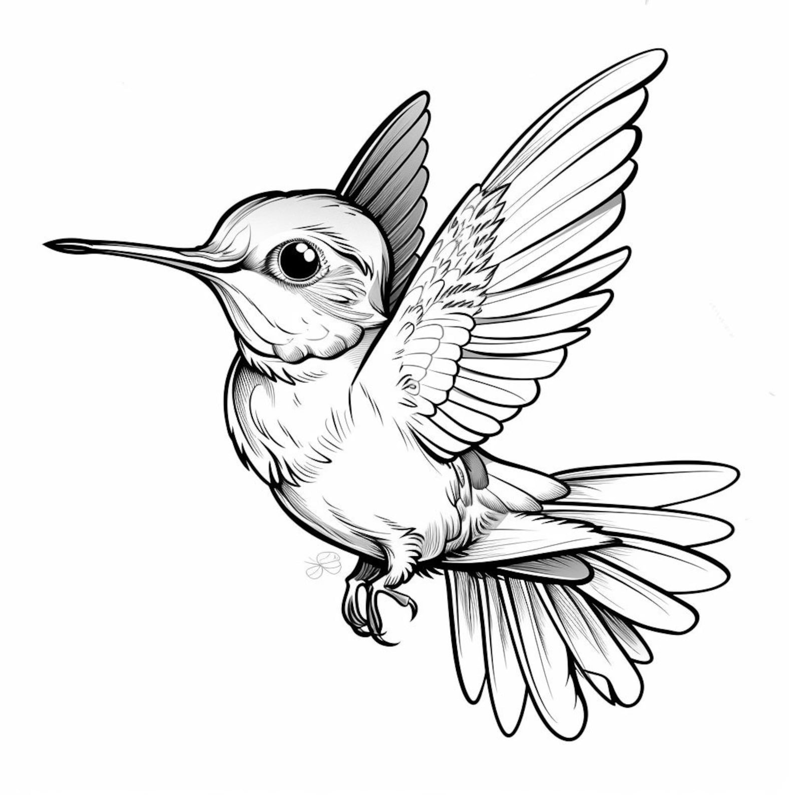 Hummingbird Line Art Illustrations Black and White Bundle 1 80 Digital ...