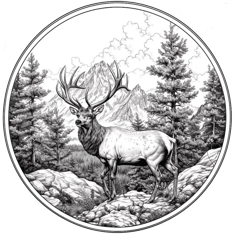 Elk Oval Mountain Forrest Black and White Line Art Bundle 1 36 Images ...