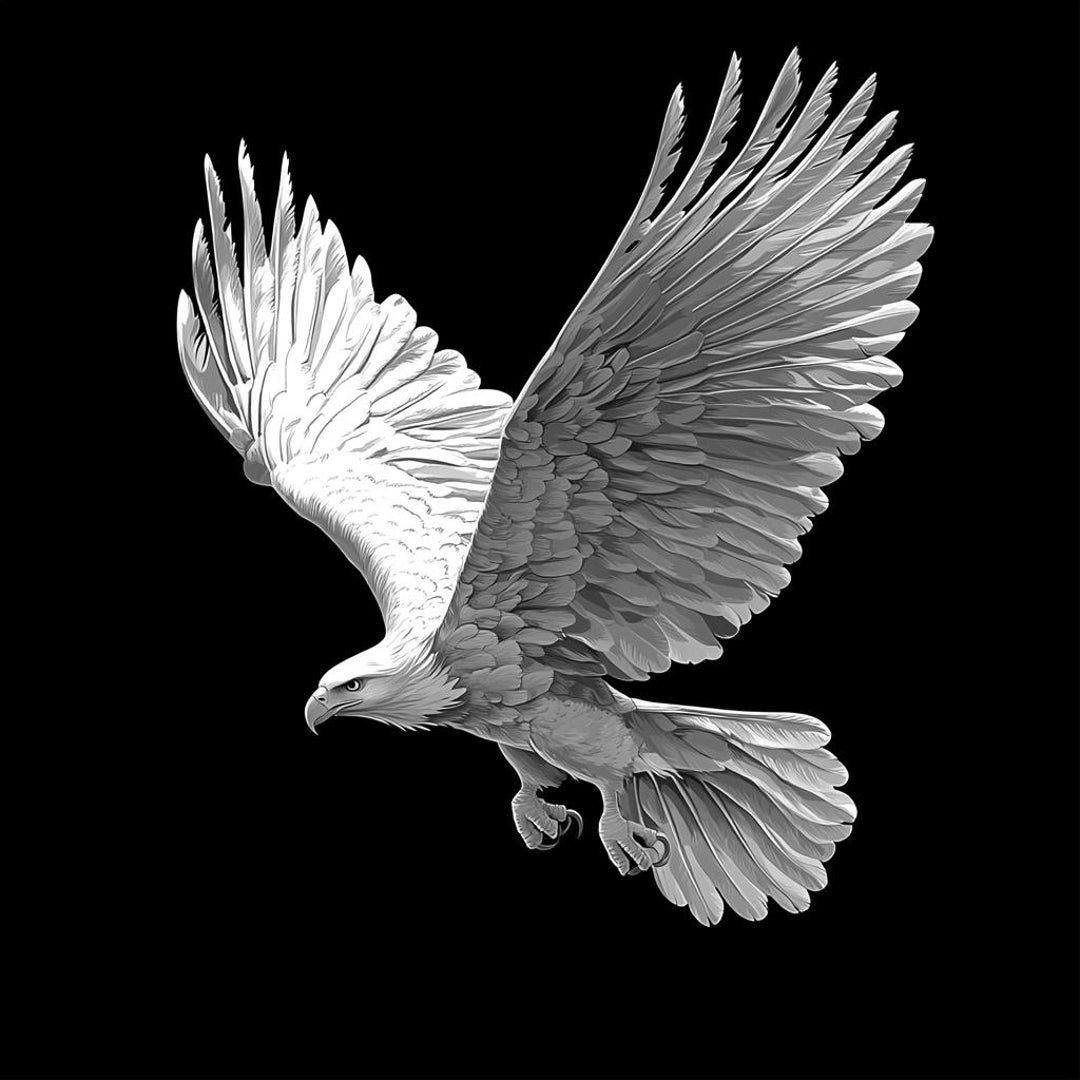 Eagle Bald Bas Relief Line Art Illustration Greyscale Bundle 1 48 ...
