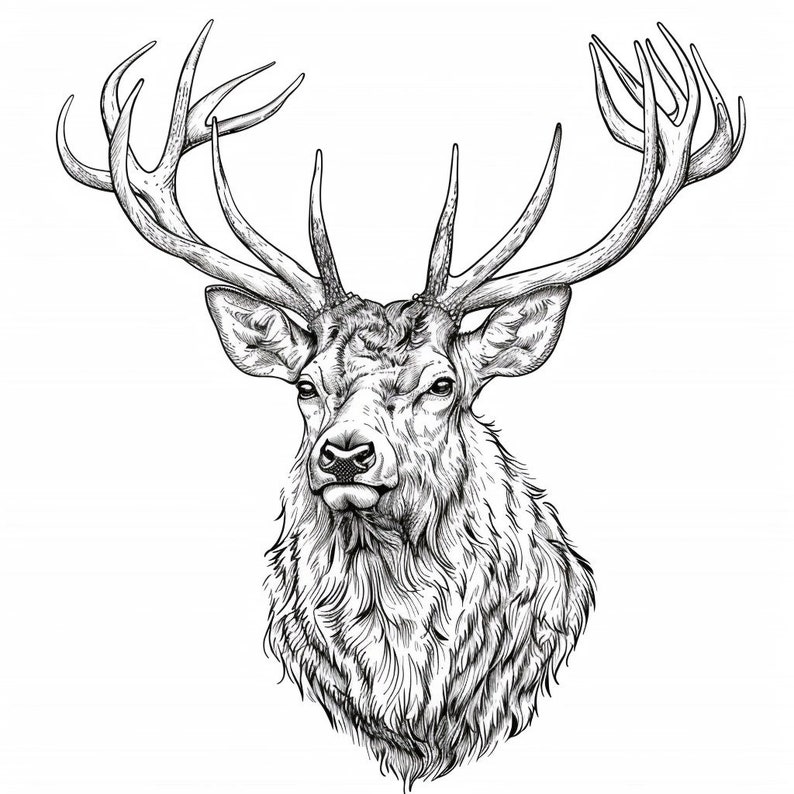 Elk Black/white Bundle 1 Clean Line Art Ai 48 Images Svg Png jpg - Etsy