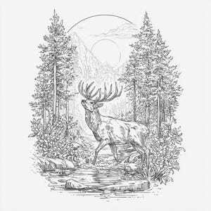Elk Forrest Black and White Line Art Bundle 2 28 Line Art Ai Images PNG ...