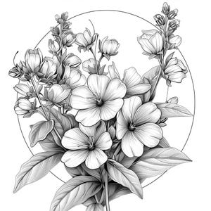 Fireweed Line Art Black and White Bundle 1 24 Digital Line Art Images ...