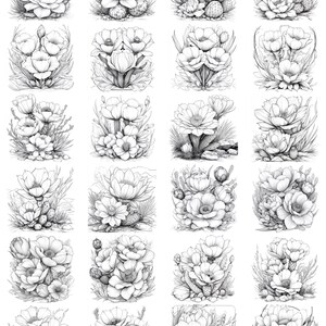 Cactus Blooms Line Art Black and White Bundle 4 32 Digital Ai Line Art ...