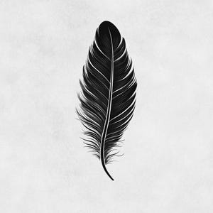 Feather Black/white Line Art Bundle 1 92 Digital Ai Line Art PNG-SVG ...