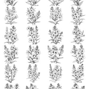 Fireweed Line Art Black and White Bundle 2 24 Digital Line Art Images ...