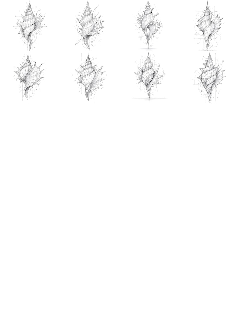 Shell Conical Black and White Bundle 1 32 Digital Ai Line Art PNG-SVG ...