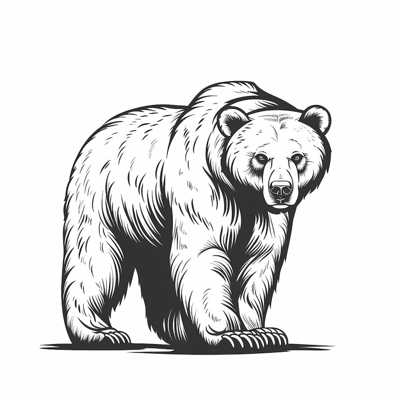 Bear Line Drawing - Etsy