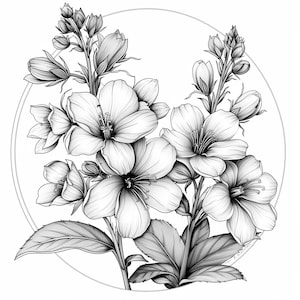 Fireweed Line Art Black and White Bundle 1 24 Digital Line Art Images ...