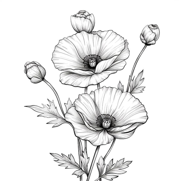 Poppy Landscapes Print - Etsy UK