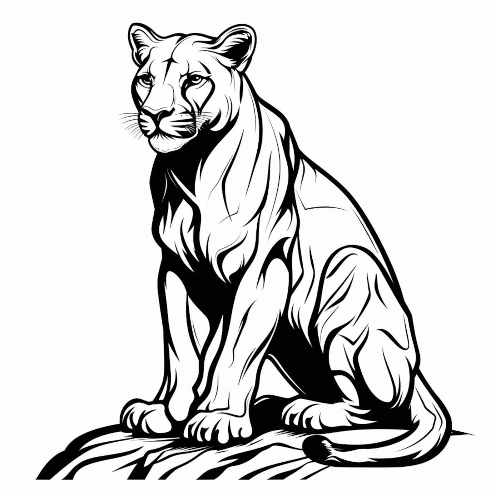 Mountain Lion Line Art Realistic Black and White Bundle 2 48 Digital Ai ...