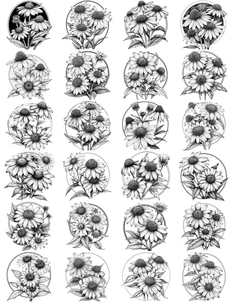 Cone Flower Line Art Black and White Bundle 2 36 Digital Ai Line Art ...
