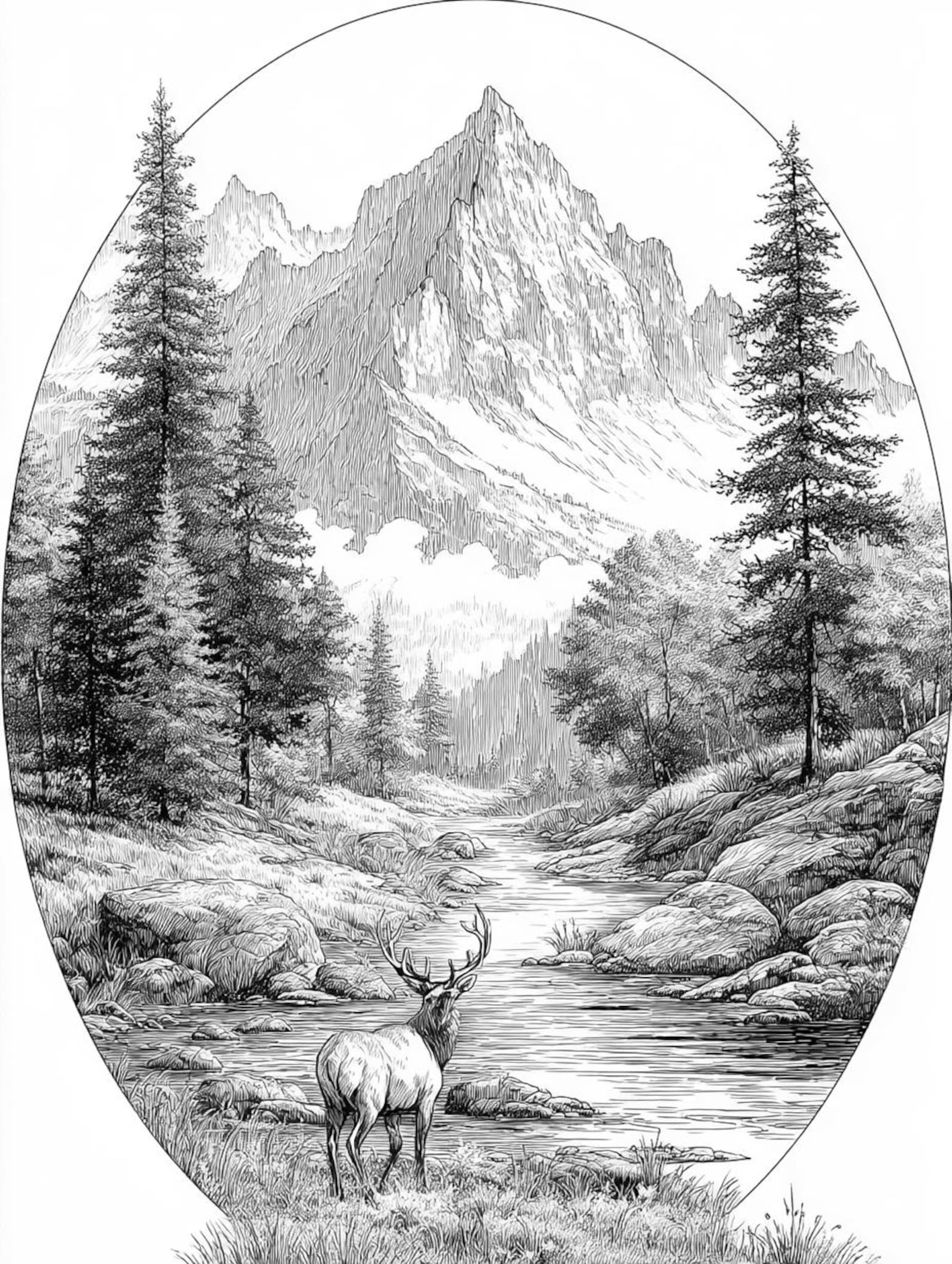 Elk Aspen Forrest Black and White Line Art Bundle 3 20 Digital Ai Line ...