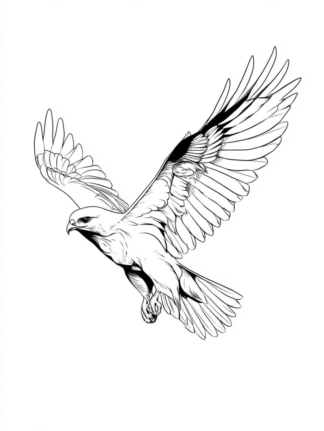 Hawk Line Art Illustration Black and White Bundle 2 35 Digital Ai Line ...