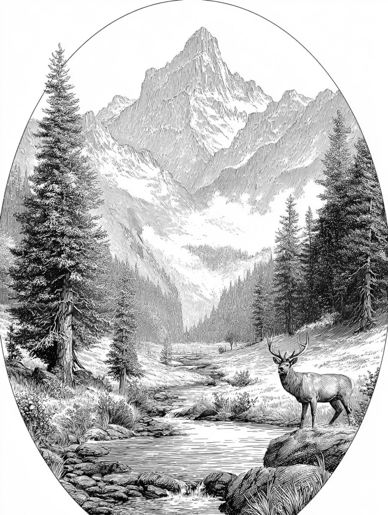Elk Aspen Forrest Black and White Line Art Bundle 3 20 Digital Ai Line ...